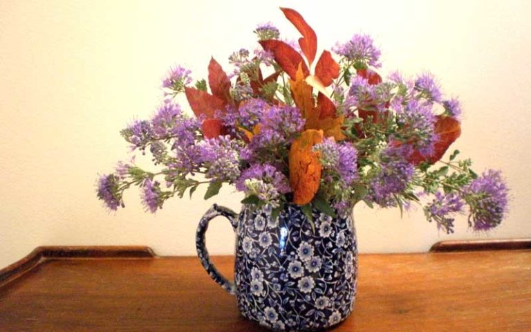 How to Create Arrangements Using a Complementary Color Scheme - Beyond ...