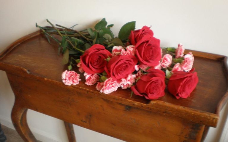 The Secret Behind Valentine’s Flowers: Not All Roses Are the Same ...