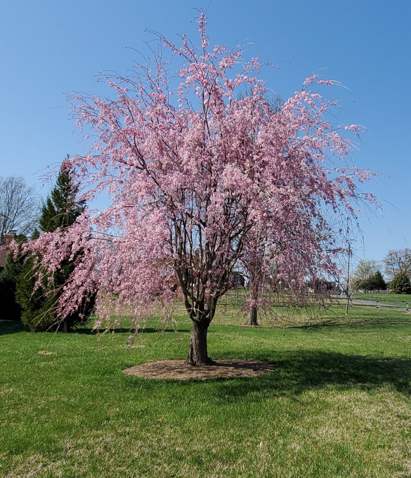 April Showers Bring Beautiful April Days - Beyond Behnkes