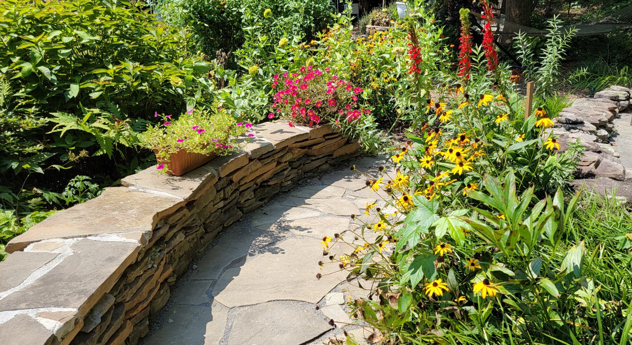 Small Spaces With Zabrene Scapes - Beyond Behnkes