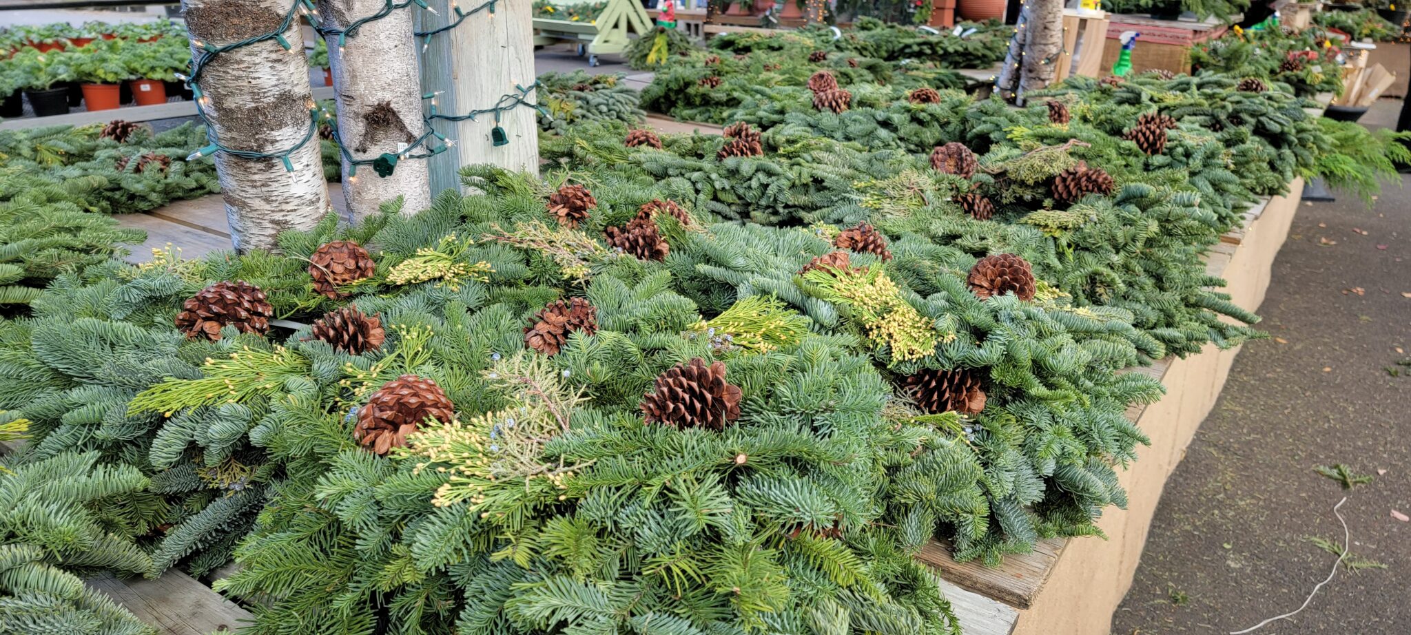 Christmas At Valley View Farms - Beyond Behnkes
