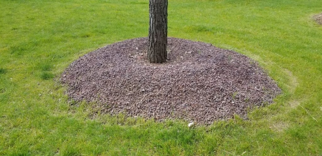 Photo Of The Week: Volcano Mulching - Beyond Behnkes